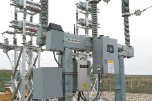 coelme-egic: Products